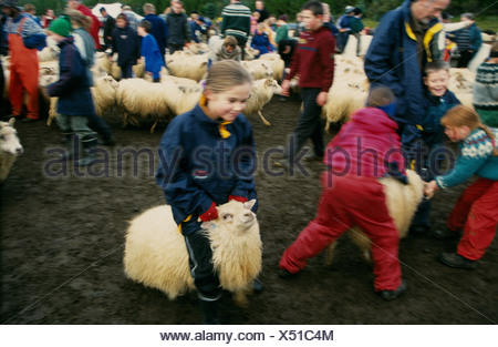 Girl Riding a Sheep Stock Photo: 25238123 - Alamy