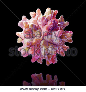 Structure Infectious Bursal Disease Virus (IBDV) (PDB 2GSY). IBD is ...