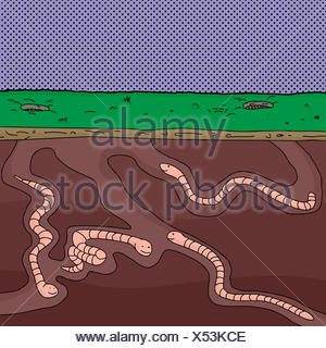 Earthworm digging soil underground illustration Stock Vector Art ...