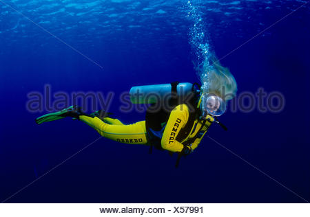 Blonde woman wearing a yellow wet suit scuba diving in the blue sea ...