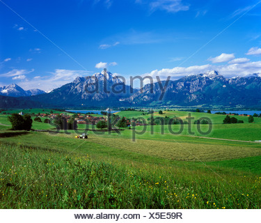 Lake Forggensee, Allgaeu, Bavaria, Germany Stock Photo - Alamy