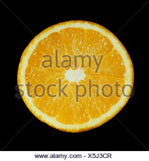 Cut section (transverse) of an orange fruit variety Washington Navel ...