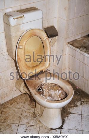 Dirty toilet in a neglected apartment Stock Photo - Alamy