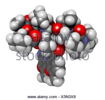 Dactinomycin (actinomycin D) cancer chemotherapy drug molecule Atoms ...