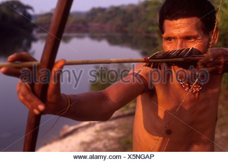 Arara Indigenous People, Amazon rain forest, Brazil. Hunter using cow ...