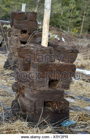 Peat (turf) cut and left to dry on a wetland in the Scottish Stock ...