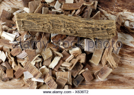 Quillaia / Soap Bark Stock Photo: 10861608 - Alamy