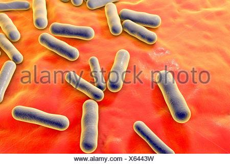 Non Pathogenic Microorganisms