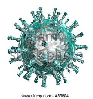 Computer illustration of a varicella zoster virus particle, the cause ...