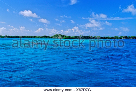 Venezuela South America Las Aves Archipelago Islands Islas de Aves ...