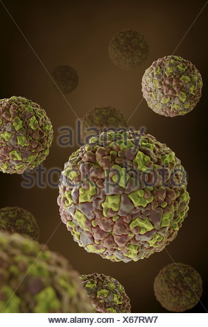 Structure foot-and-mouth disease virus (1BBT) which is pathogen that ...