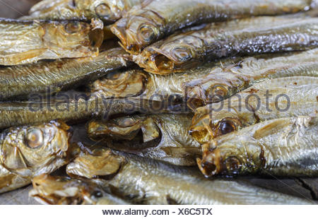Kieler Sprotten or Kiel Sprats, smoked sprat, Eckernfoerde Stock Photo ...