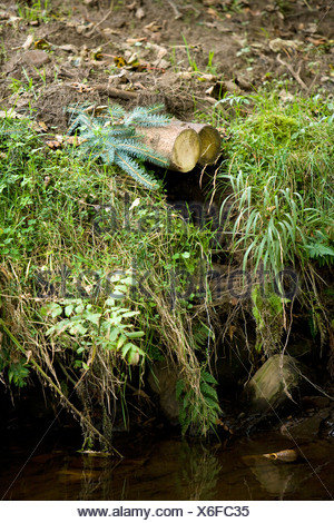 artificial otter holt constructed by a farmer Stock Photo: 20336148 - Alamy