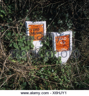 Gas pipeline markers on short concrete posts placed in Devon hedgerow ...