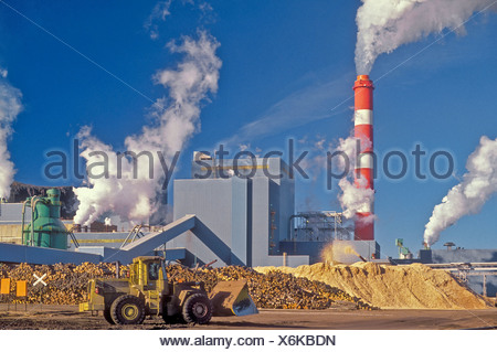 Pulp and Paper mill, Thunder Bay, Ontario, Canada Stock Photo: 92344443 ...