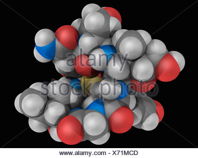 Alpha-Amanitin toxin molecule Stock Photo: 47683541 - Alamy