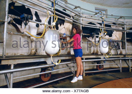 CAROUSEL MILKING PARLOR / PENNSYLVANIA Stock Photo: 48861051 - Alamy