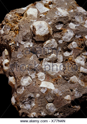 Minerals - Leucitite Stock Photo: 86091850 - Alamy