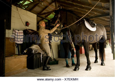 Fox hunting Master prepares to hunt with the hounds UK Stock Photo ...