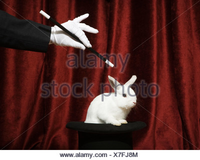 Magician pulling a rabbit out of a hat Stock Photo: 28560621 - Alamy