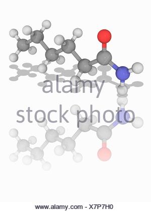 Hexanamide. Molecular model of the organic compound and amide Stock ...