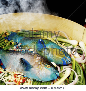 Steamed parrot Fish Stock Photo - Alamy
