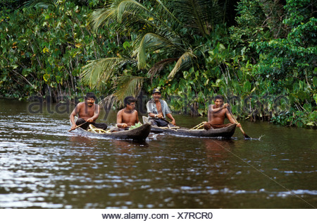 Warao Indians in a dugout canoe, Orinoco River Delta, Venezuela, South ...