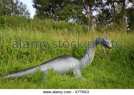 Early Protorosaurus dinosaur, Permian era Over 30 species of lifelike ...