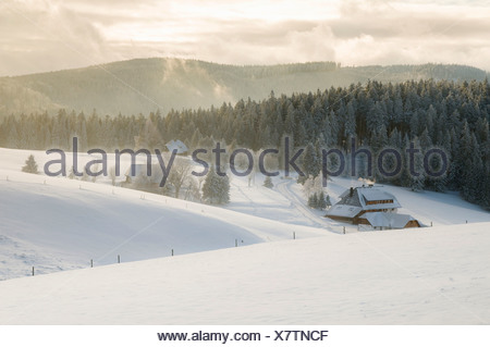 Black Forest farm near Freiburg Stock Photo: 103288188 - Alamy