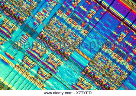 Computer chip. Coloured light micrograph of the surface of an Stock ...
