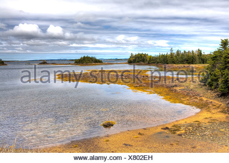 Gander Bay, Newfoundland, Canada Stock Photo: 26803413 - Alamy