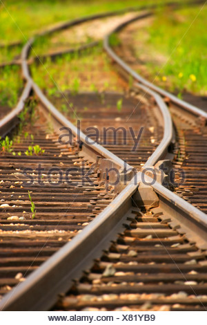 Railroad tracks that merge off into different paths Stock Photo - Alamy