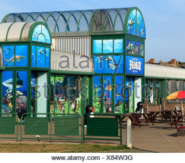 Hunstanton Sea Life Centre, marine aquarium, Norfolk England UK Stock ...