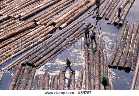 Floating Cut Logs Down a River Stock Photo: 2214016 - Alamy