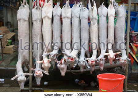 Dead goats at Qingping meat market in Guangzhou, China Stock Photo - Alamy