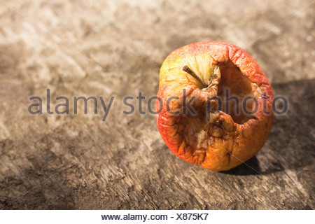 Stages of decay. A rotting Apple Stock Photo: 74879692 - Alamy