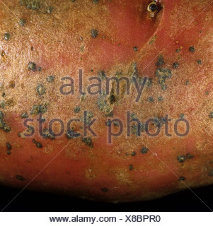 Red spot on skin Stock Photo: 58965272 - Alamy