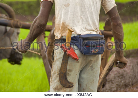 Koyta or sickle- multipurpose knife used in konkan to break coconut ...