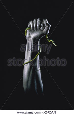 A hand holding a snake Stock Photo: 79731402 - Alamy