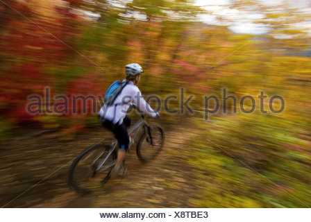 USA, Utah, Uinta-Wasatch-Cache National Forest, Little Cottonwood ...
