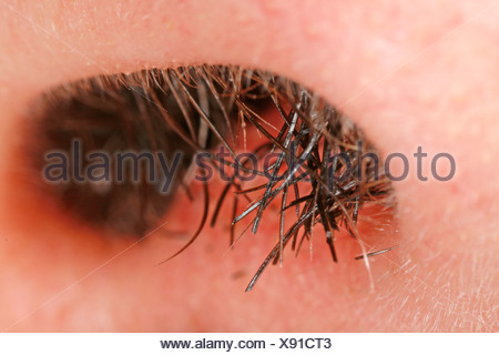 Vibrissae - hair growing out of a man's nose Stock Photo - Alamy
