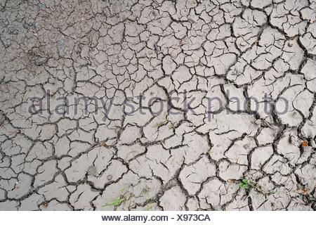 Drought period - dried ground / parched earth. Heatwave concept Stock ...