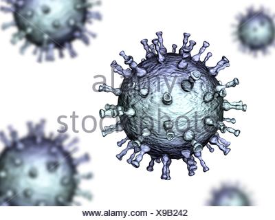 Computer illustration of a varicella zoster virus particle, the cause ...
