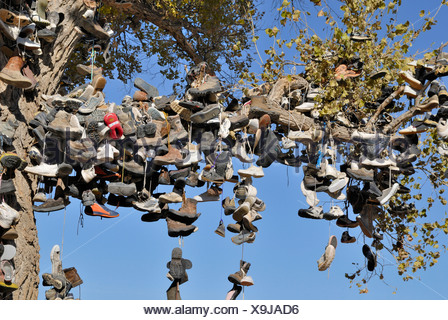 Hundreds of shoes hanging from a tree, detail, Highway 50 between Stock ...