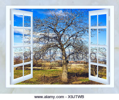 open window view of early spring Stock Photo - Alamy