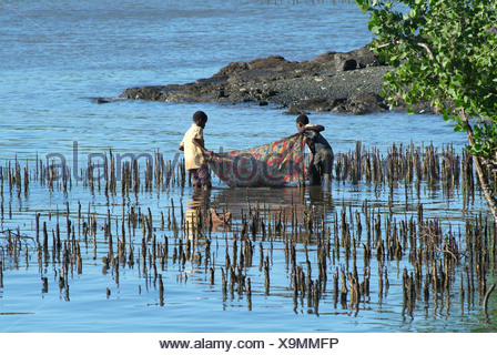 Mayotte children fishing mangroves France Europe Overseas Stock Photo ...