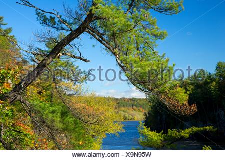 Pothole along Glacial Pothole Trail, St. Croix National Scenic Stock ...