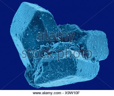 Sucrose crystals, coloured scanning electron micrograph (SEM Stock ...