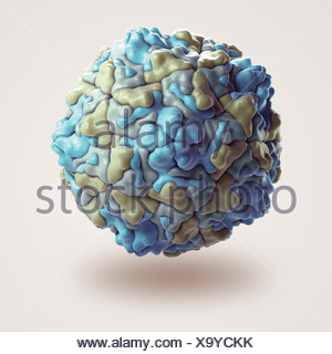 Structure ECHO (Enteric Cytopathic Human Orphan) virus (PDB 1EV1 Stock ...