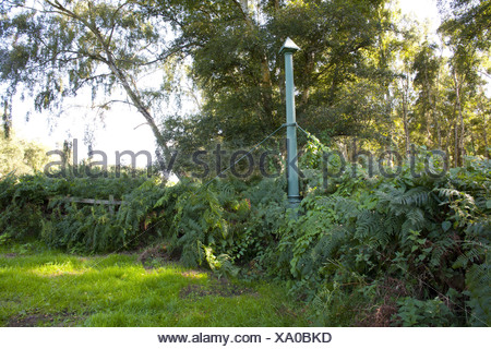 Holme Posts, Holme National Nature Reserve Fenland, Cambridgeshire UK ...